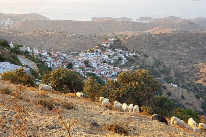 Private 6-Day Tour Discovering Greece and Live Like an Islander - Who Will Love This Tour?