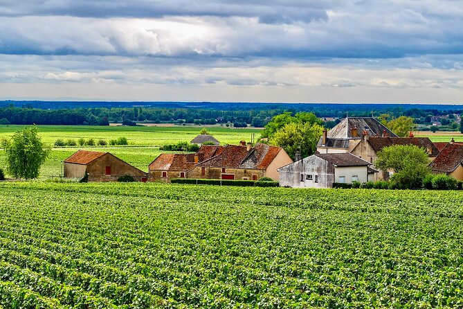 Private Burgundy 3 Domaines Chateau Pommard Chablis 15 Wines Trip - Final Thoughts