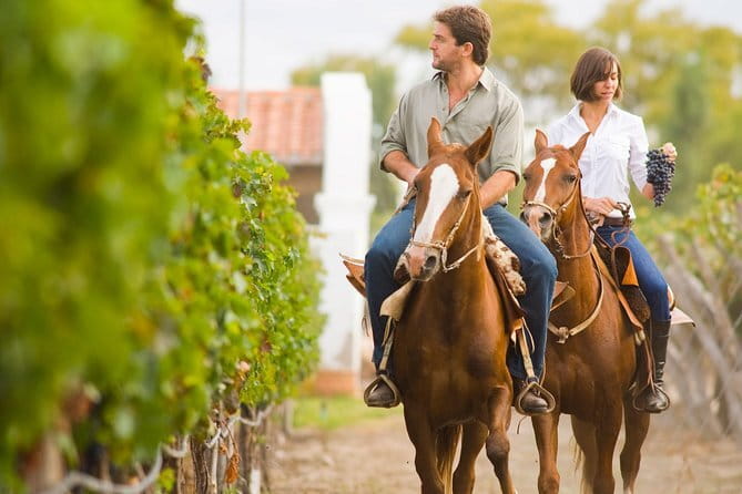 Private Carmignano Tour: The First Cabernet Sauvignon in Tuscany - Who This Tour Is Perfect For