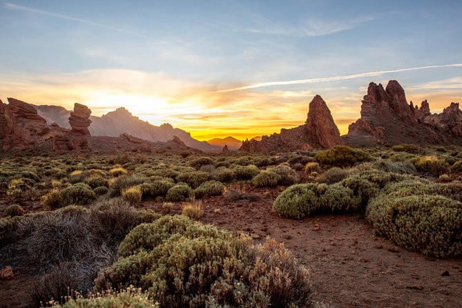 Private excursion to Teide National Park - Guides and Expertise