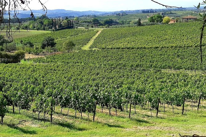 PRIVATE EXCURSION: Visit Siena & Chianti with lunch and tastings - What’s Included and What’s Not