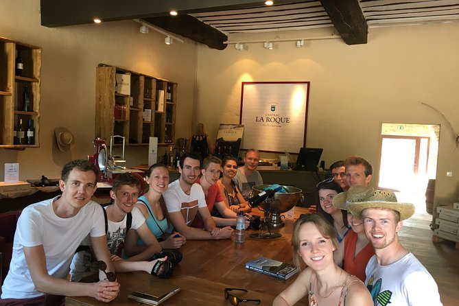 Private Full Day Pic Saint Loup Wine and Olive Tour with Lunch from Montpellier - Who Will Love This Tour?