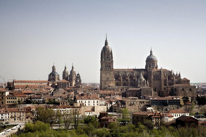 Private Full day Tour to Salamanca from Madrid with hotel pick up and drop off - Final Thoughts: Who Should Book This Tour?