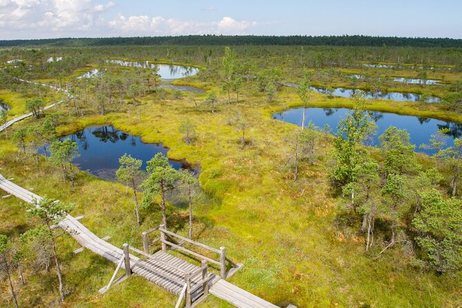 Private Full-Day Trip to Jurmala and Great Kemeri Bog Boardwalk - Who Will Love This Tour?