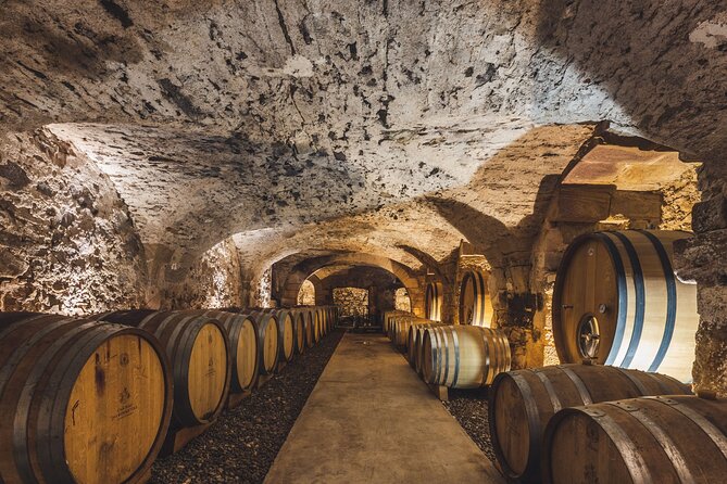 Private Full Day Wine Tour in Provence from Toulon Cruise Port - Who Will Love This Tour?