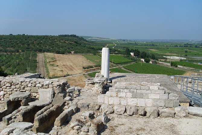 Private guide Archaeological ruins of Cannae: Hannibal's victory over the Romans - What to Expect During Your Visit