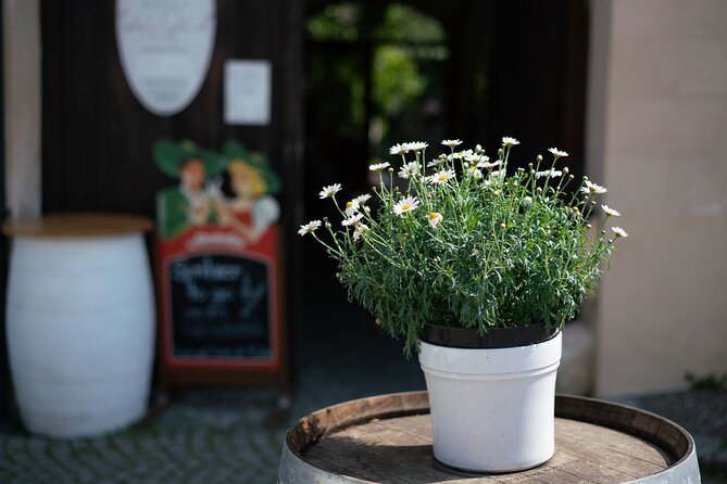 Private Guided Full Day Tour to charming Burgenland region with Wine tasting - Who Is This Tour Best For?
