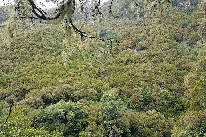 Private Guided Walk Levada 25 Fontes - FAQs