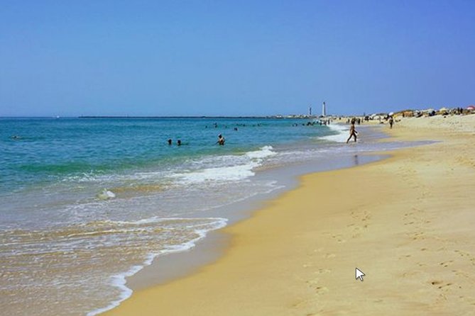 Private Half-Day Boat Tour in Ria Formosa from Faro - Why This Tour Is Worth Considering