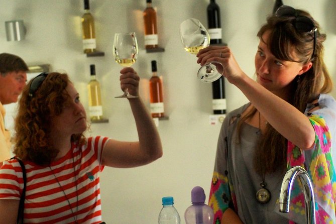 Private Half-Day Languedoc Wine Tour from Sète - Who Should Consider This Tour?