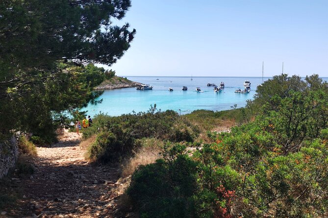 Private Half Day Speedboat tour to Kornati National Park - Final Thoughts: Is This Tour Right for You?