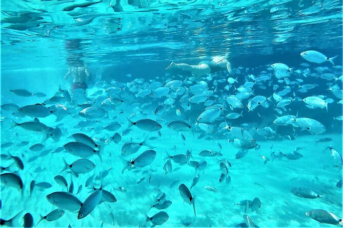 Private Hydro-Jet Snorkeling Beach and Cave Cruise Tour - Who Will Love This Tour?