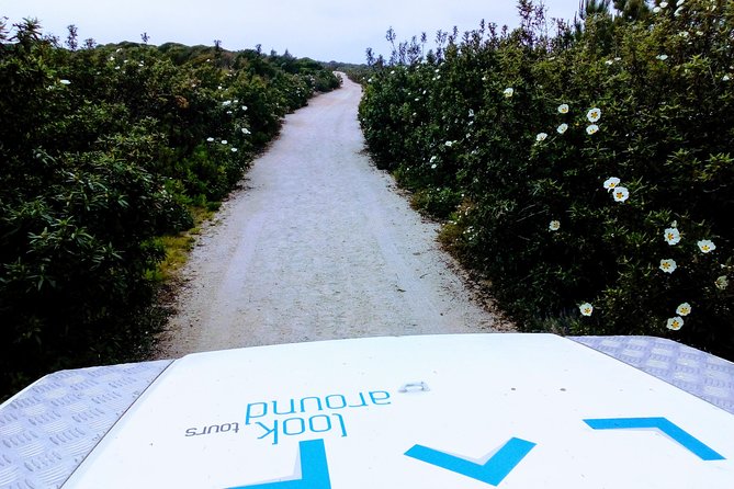 Private Jeep Tour to Espichel Cape & West Coast Wild Beaches - The Sum Up