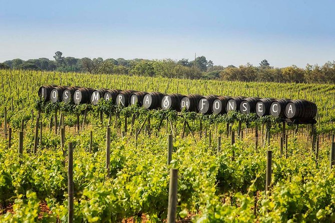 Private Lisbon wine tasting tour in the Setubal region - FAQs About the Tour