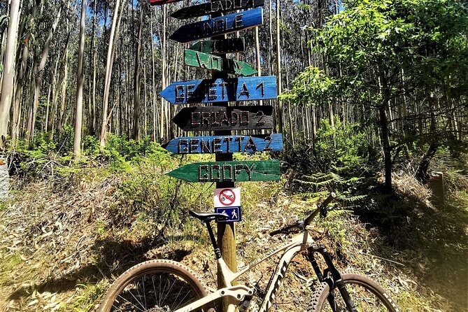 Private MTB Enduro Trail Tour in Sintra - Cascais Natural park - Value for Money