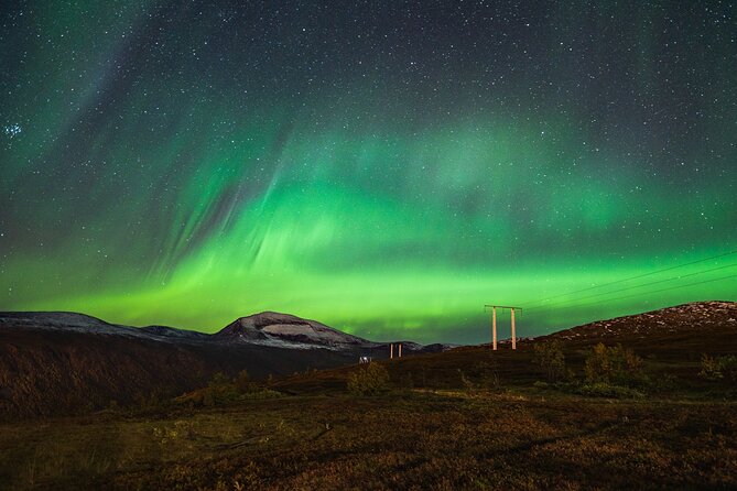 Private Northern Lights Tour with Icelandic Treats and Liquor - Frequently Asked Questions
