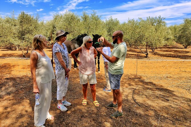 Private Paella Master Class at Olivos Farm - Frequently Asked Questions