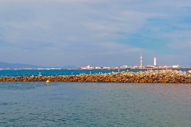 Private Sightseeing Boat Tour in Ria Formosa at Olhão - Frequently Asked Questions