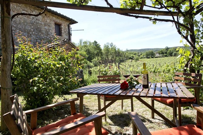 Private tour from Livorno port to Chianti Wine Region - Who Is This Tour Best For?