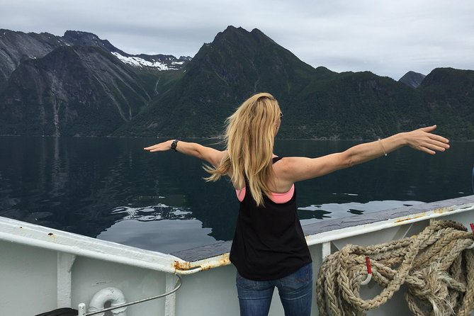 Private tour Geiranger and Glaciers 1 to 15 people - Final Thoughts: Who Will Love This Tour?