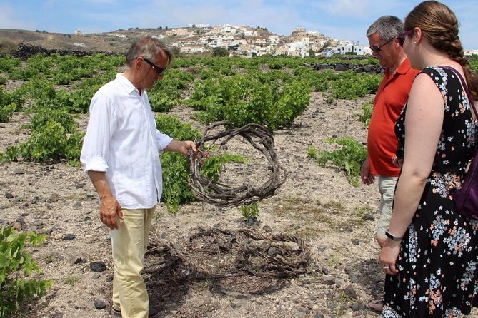 Private Tour: Great Wines and Famous Towns of Santorini - Pricing and Overall Value