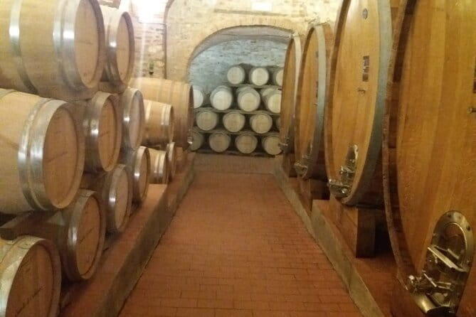 Private Tour in San Gimignano and Chianti Day Trip from Florence - Who Should Book This Tour?
