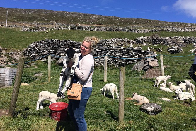 Private tour of Dingle and Slea Head with accredited guide - Who Is This Tour Best For?