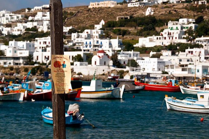 Private Tour of Little Venice, Kalafati Beach and Panagia Tourliani Monastery - What the Reviews Say