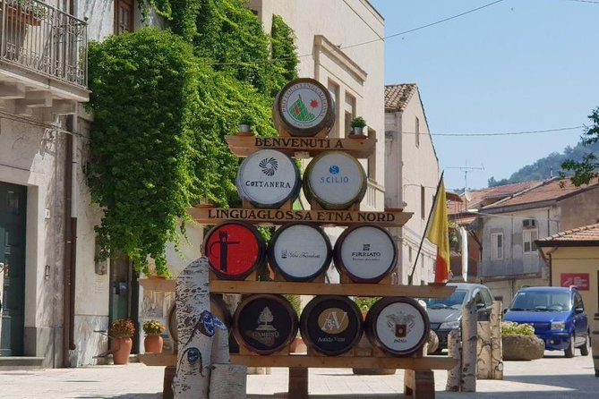 Private Tour of Mount Etna and Etna Winery Visit with Tasting from Syracuse - The Practicalities: Duration, Cost, and Comfort