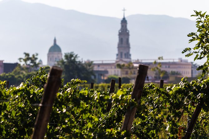 Private tour of Pompeii Ruins + Organic Wine and Lunch tasting - Who Should Consider This Tour?