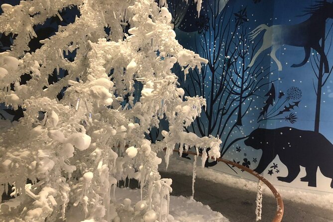 Private Tour of Swarovski Crystal World from Innsbruck - Frequently Asked Questions
