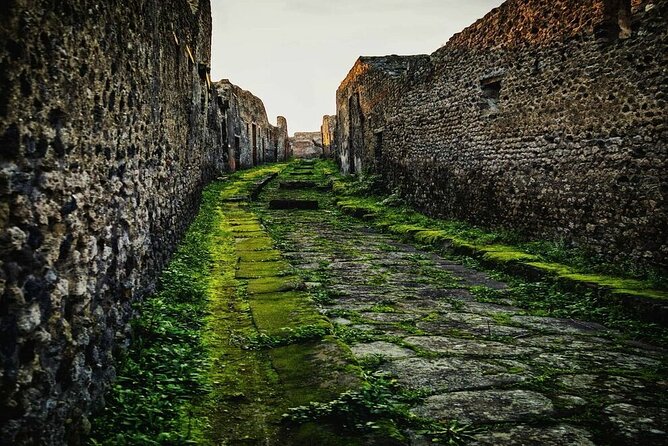 Private Tour Pompeii and Sorrento from Naples - The Experience: Style and Substance