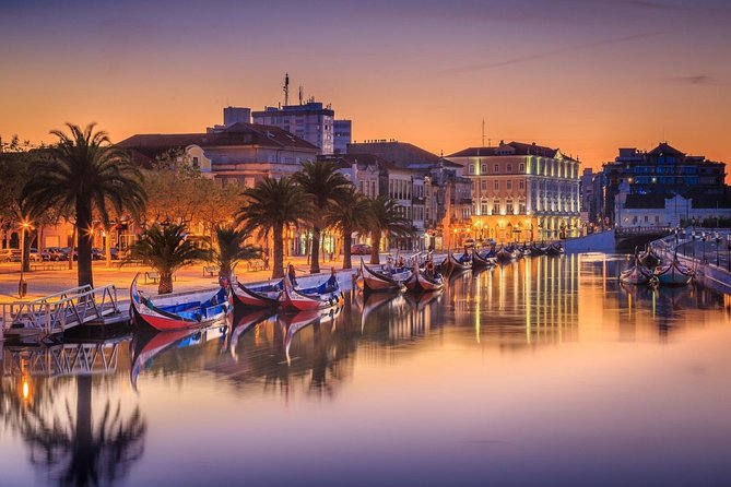 Private Tour Porto / Aveiro * Private Tours * - Final Thoughts: Who Will Love This Tour?