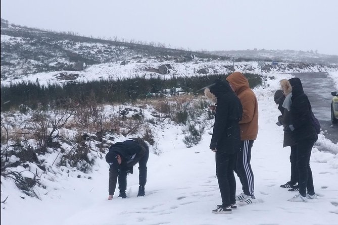 Private Tour through Serra da Estrela Park and its famous cheese - Covao DAmetade and Vale Glaciar do Zezere