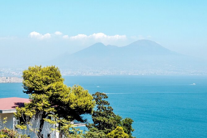 Private Tour to Naples from Sorrento with Pick Up and Drop Off - Final Thoughts: Is This Tour for You?