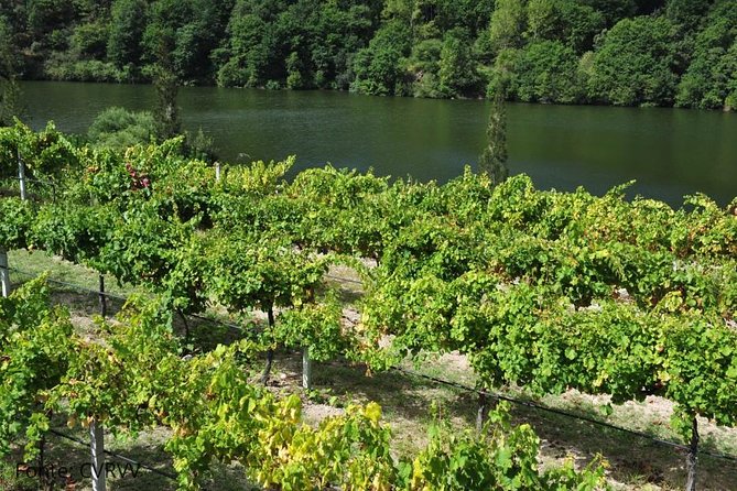 Private tour to Ponte de Lima, Vinho Verde region - Who This Tour is Best For
