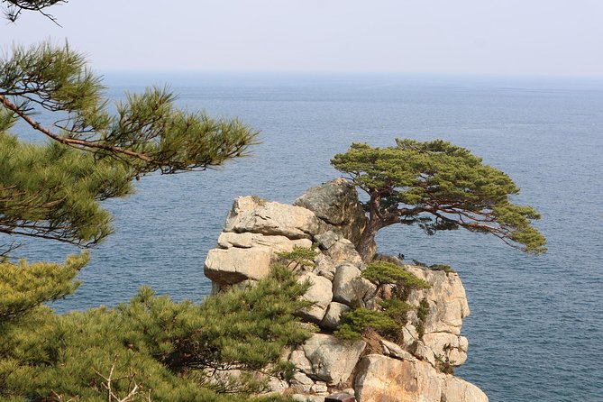 Private Transfer from Dubrovnik to Split with 2 hours for sightseeing - Who Will Enjoy This Tour?