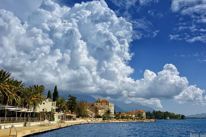 Private Transfer from Tivat or Porto Montenegro to Tivat airport - Final Thoughts: Who Will Love This Service?