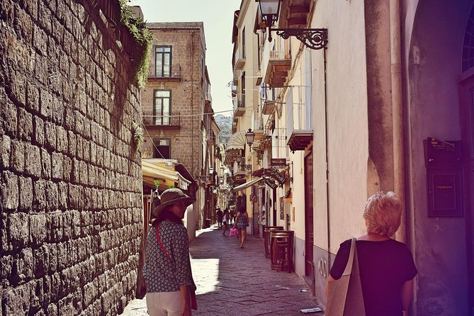 Private Transfer: Naples to Sorrento, 2h in Vesuvius or Pompeii - Who This Tour Suits Best