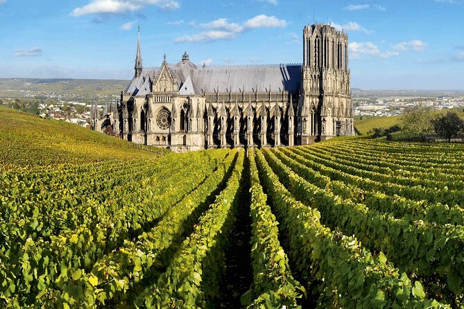 Private Transfer: Paris Airport CDG to Reims / Champagne by Van - Who Should Book This Experience?
