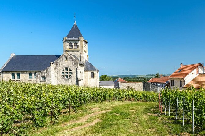 Private Transfer: Reims / Champagne to Paris Airport CDG by Van - The Final Word