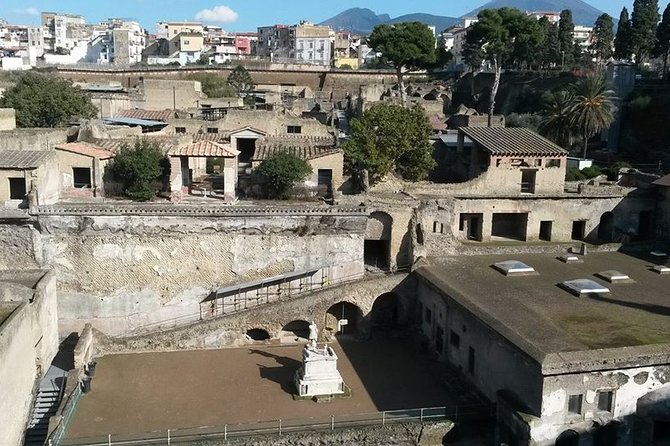 Private Walking Tour through the Historical City of Herculaneum - FAQs
