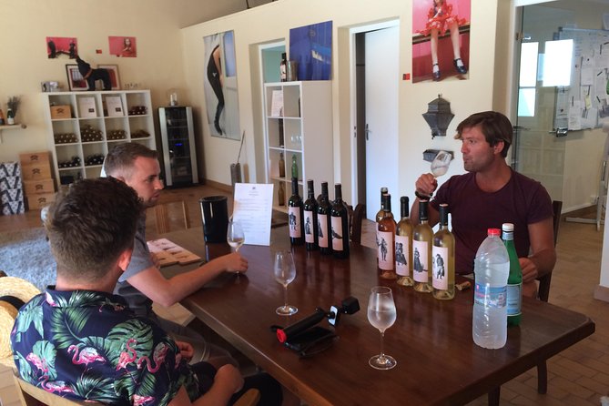 Private Wine day tour from Carcassonne and around. - Who Will Enjoy This Tour?