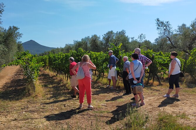 Private wine tour with sommelier - the magical Bolgheri (2 wineries) - Frequently Asked Questions