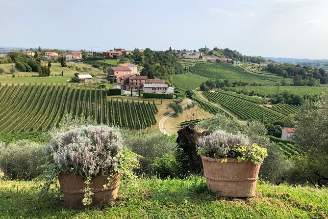 Prosecco Hills Wine and Cheese Gourmet Discovery by Yellowboot - Final Thoughts