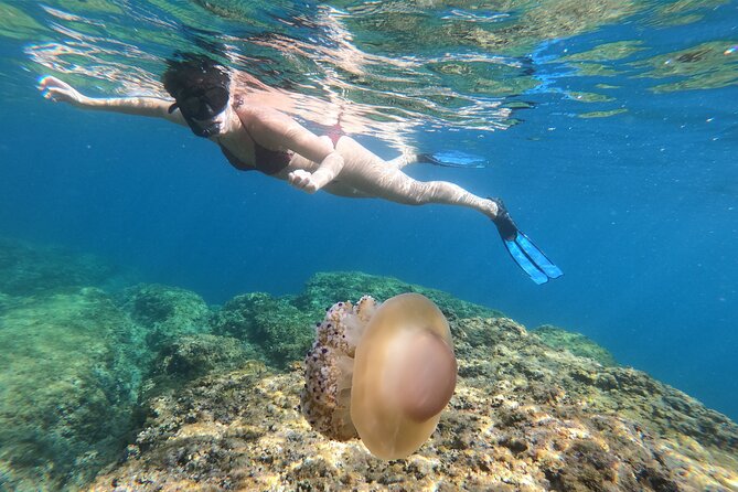 Pula Sea Adventure  Boat, Kayak, Snorkeling & Cliff Jumps - Who Should Consider This Tour?