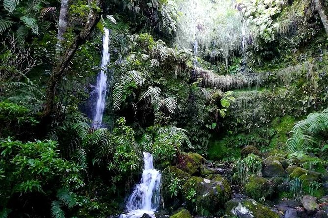 Queimadas-Caldeirão Verde - The Sum Up
