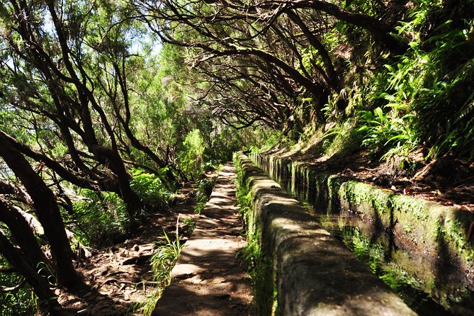 Rabaçal - Levada das 25 Fontes - Practical Tips for Travelers