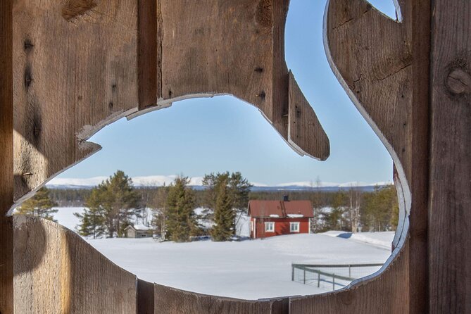 Reindeer Herding and a Snowmobile Slegh Ride - Reviews and Authentic Feedback