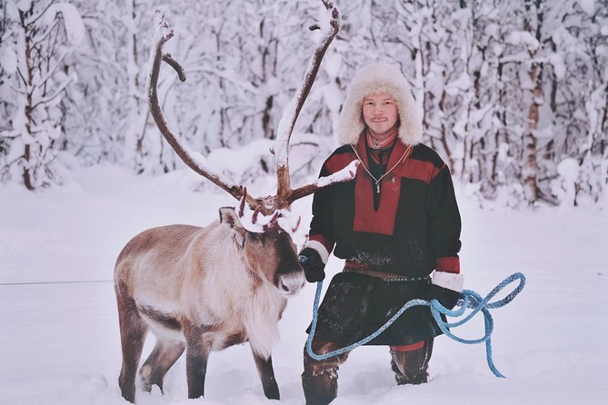 Reindeer Sledding and Feeding with Sami Culture in Tromso. - Who Should Consider This Tour?